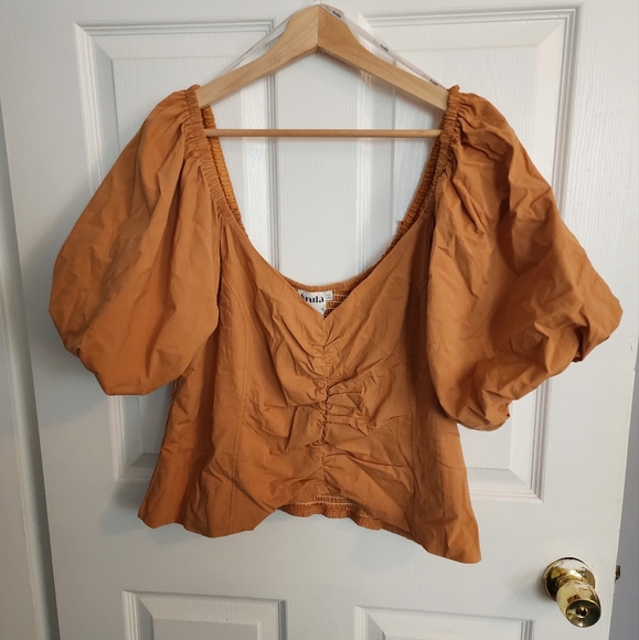 ARULA | Tops | Nwot Arula Burnt Orange Puff Sleeve Smocked Corset Top ...